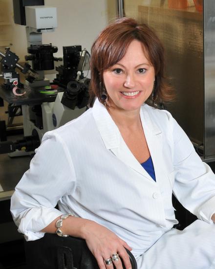 Gabriela Popescu | National Institute of Neurological Disorders and Stroke