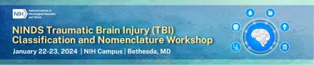 NINDS TBI Classification and Nomenclature Workshop | National Institute ...