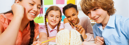 Brain Education Resources | National Institute of Neurological ...