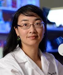 Guo-Li Ming | National Institute of Neurological Disorders and Stroke