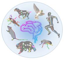 Brain Behavior Quantification & Synchronization Workshop | National Institute of Neurological ...